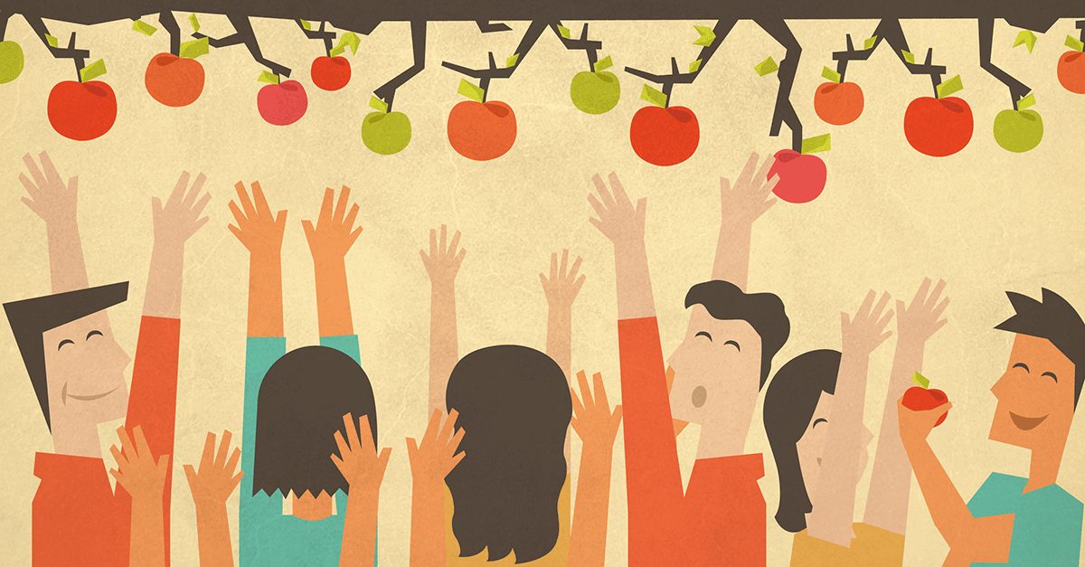 The Ultimate Guide to Apple Picking | Fix.com